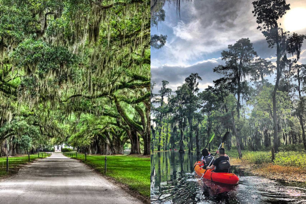 Swamp & Plantation Tour New Orleans | Hidden Adventure Tours