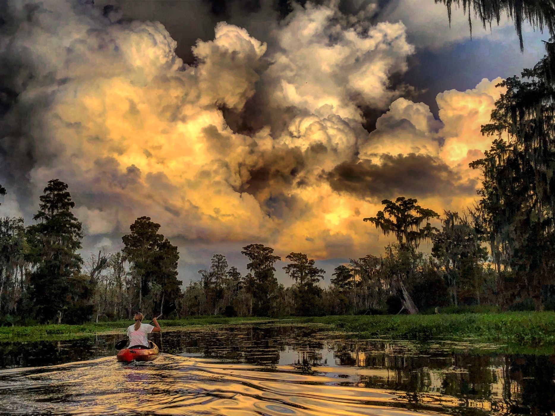 Manchac Swamp Tour | Hidden Adventure Tours